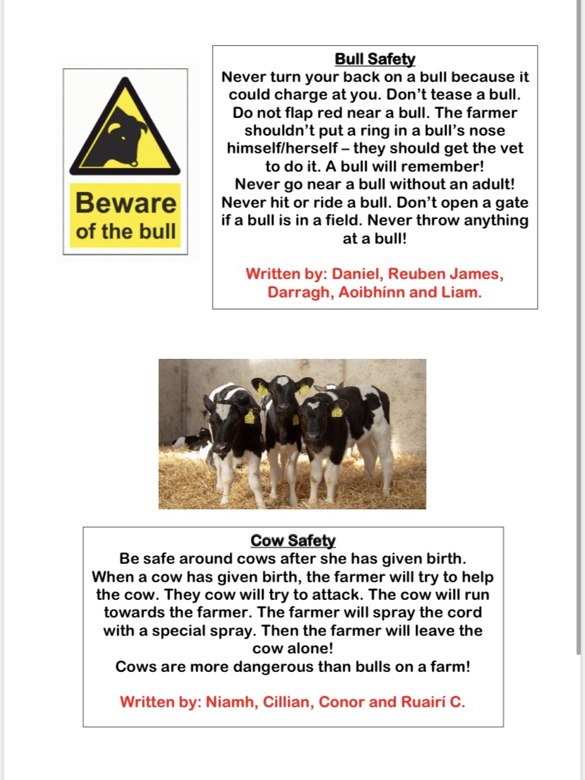 Module 2 – Knockaderry Farranfore National School